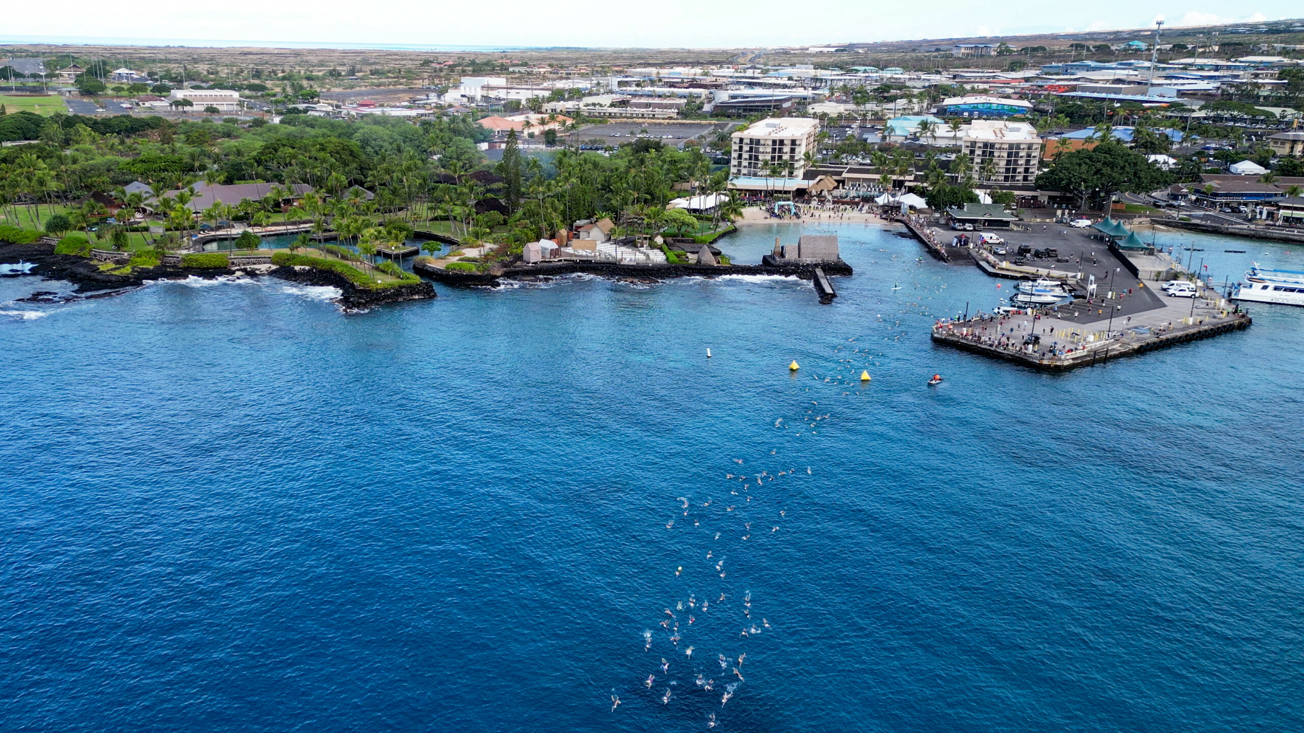 Generalprobe im Pazifik: Agegrouper und Profis testen beim Hoala Swim ...